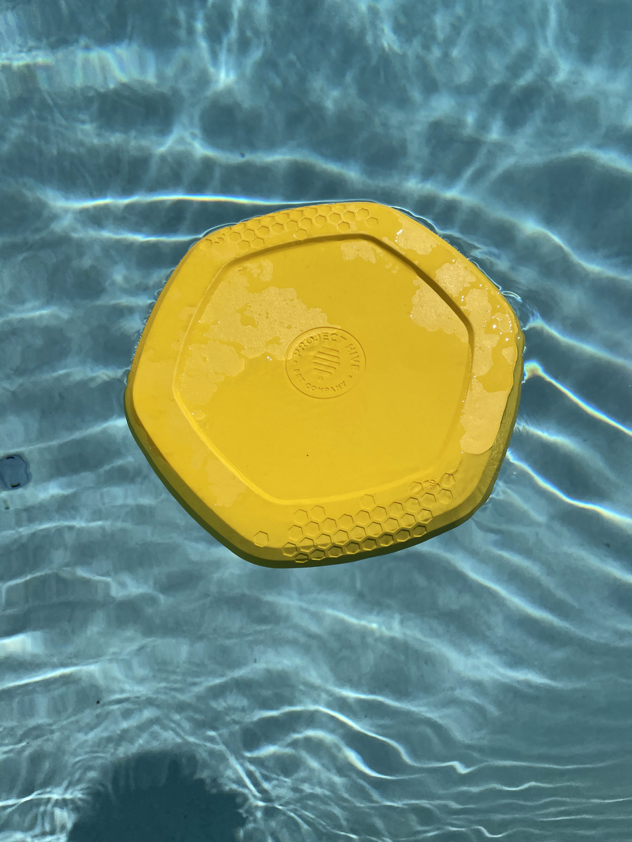 Hive Disc + Lick Mat – Project Hive Pet Company LLC