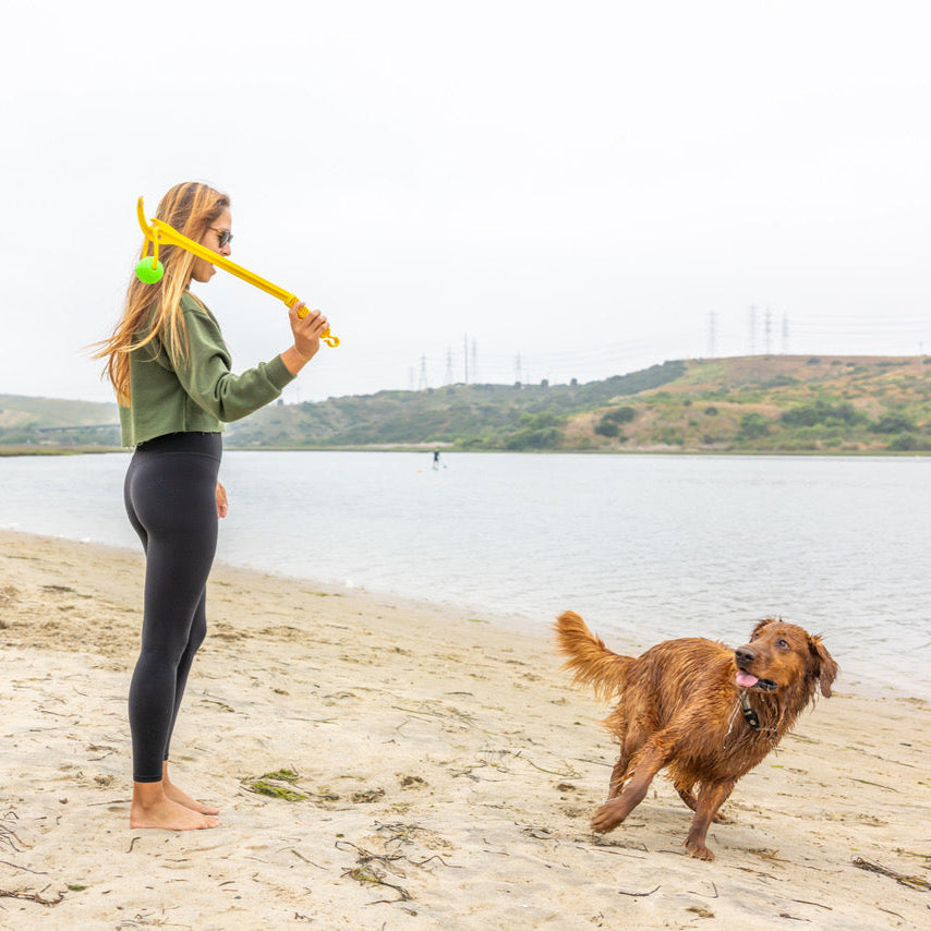 Looped Ball - Small / 2-pack - Green & Blue – Project Hive Pet Company LLC