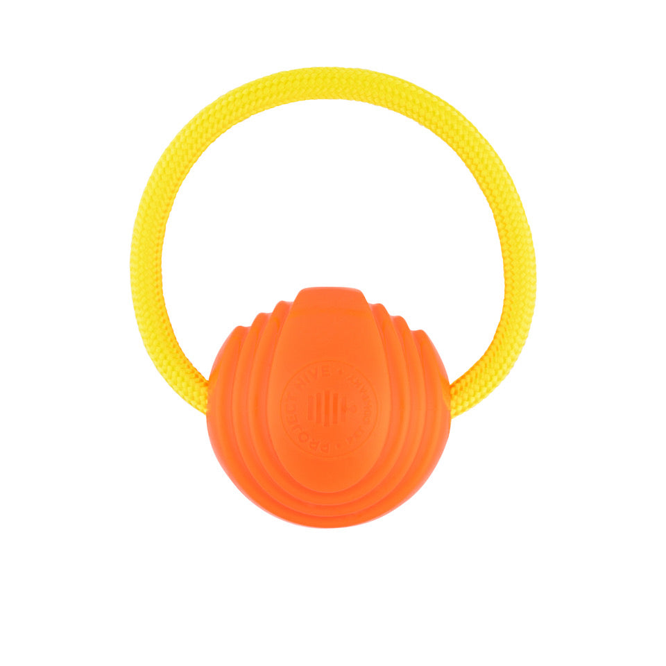 Hive Zoomer Dog Toy Launcher & Looped Ball – Project Hive Pet Company LLC