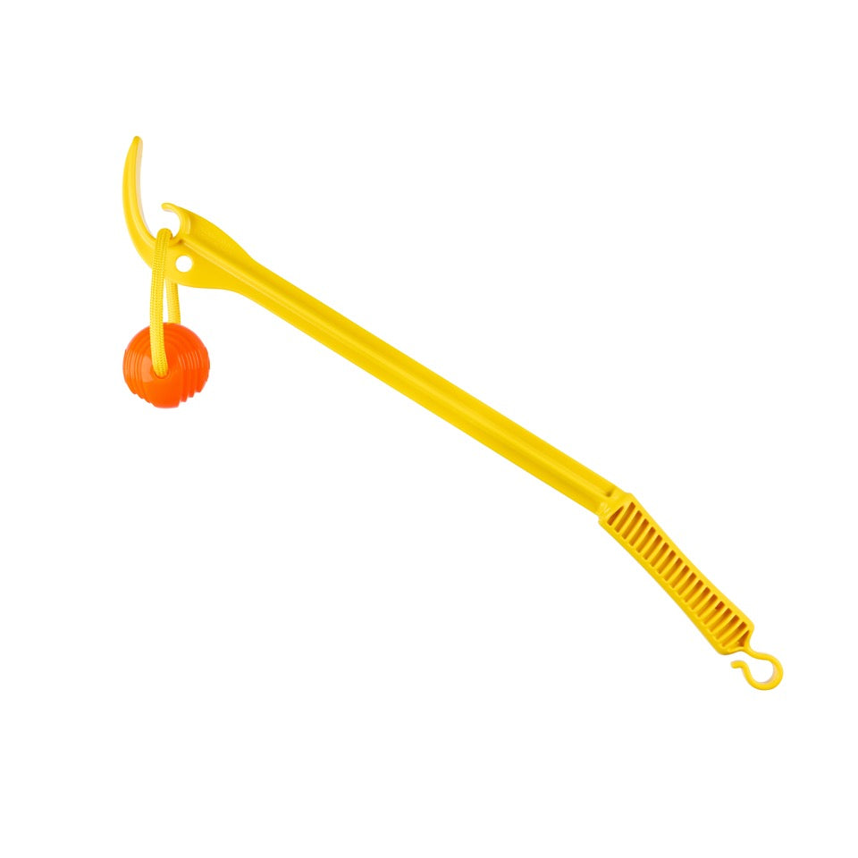 Hive™ Zoomer Dog Toy Launcher & Looped Ball – Project Hive Pet Company LLC