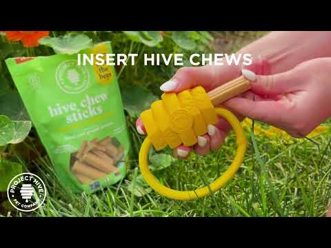 Looped Hive Toy - Small – Project Hive Pet Company LLC